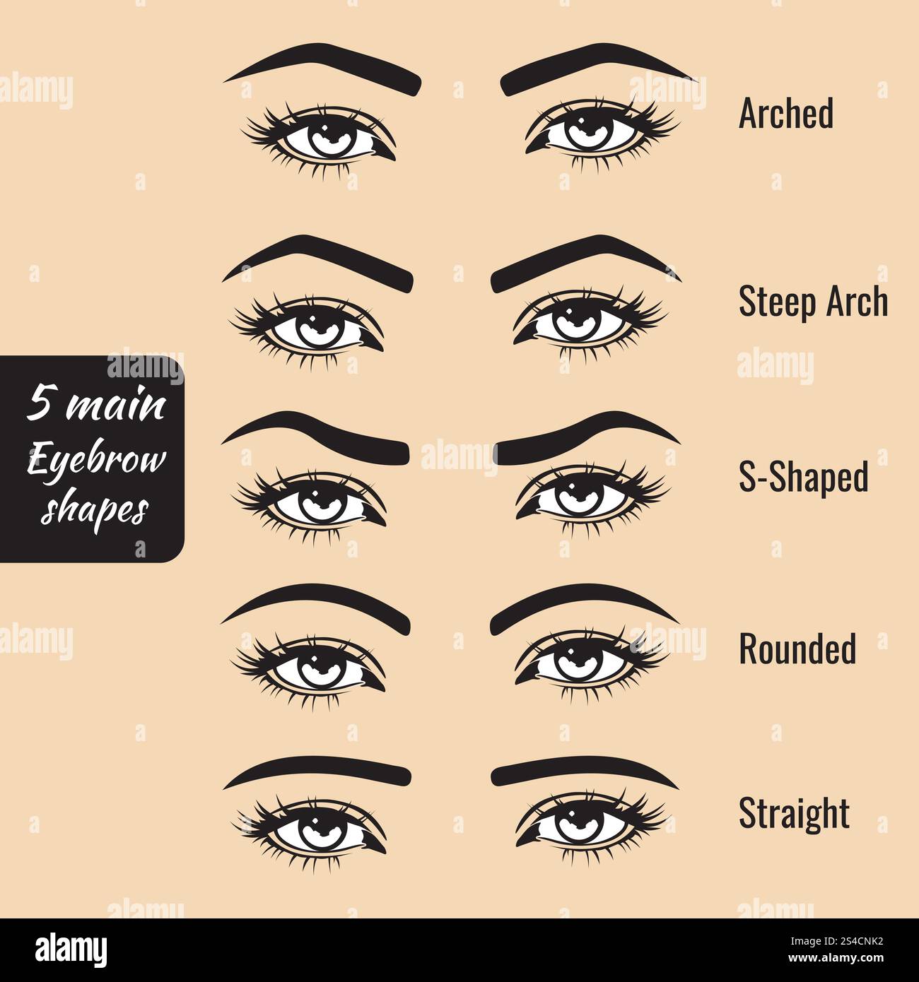 Eyebrows Styles For Women