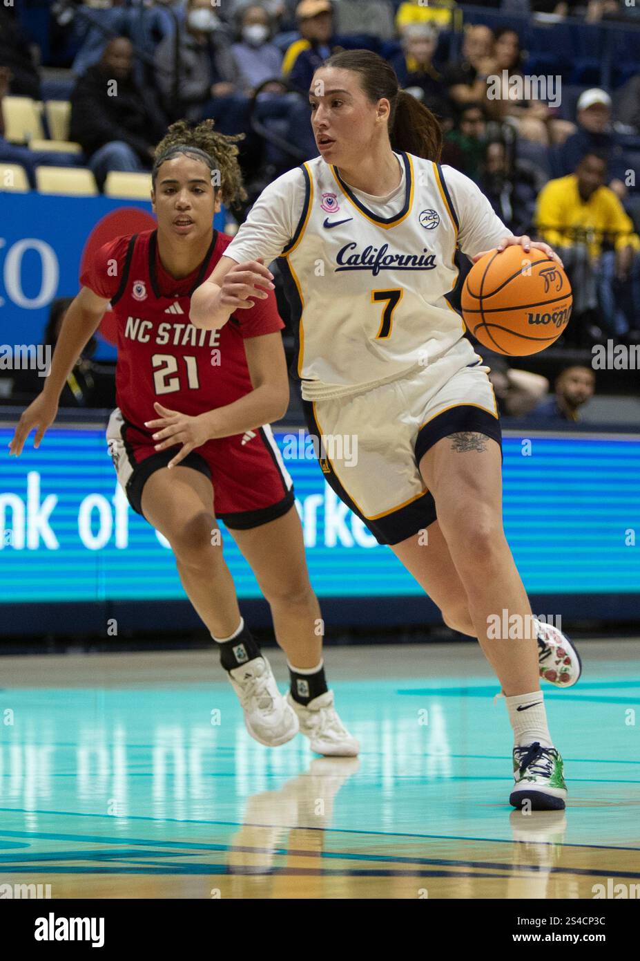 2025 _0241 jpg hi-res stock photography and images - Alamy