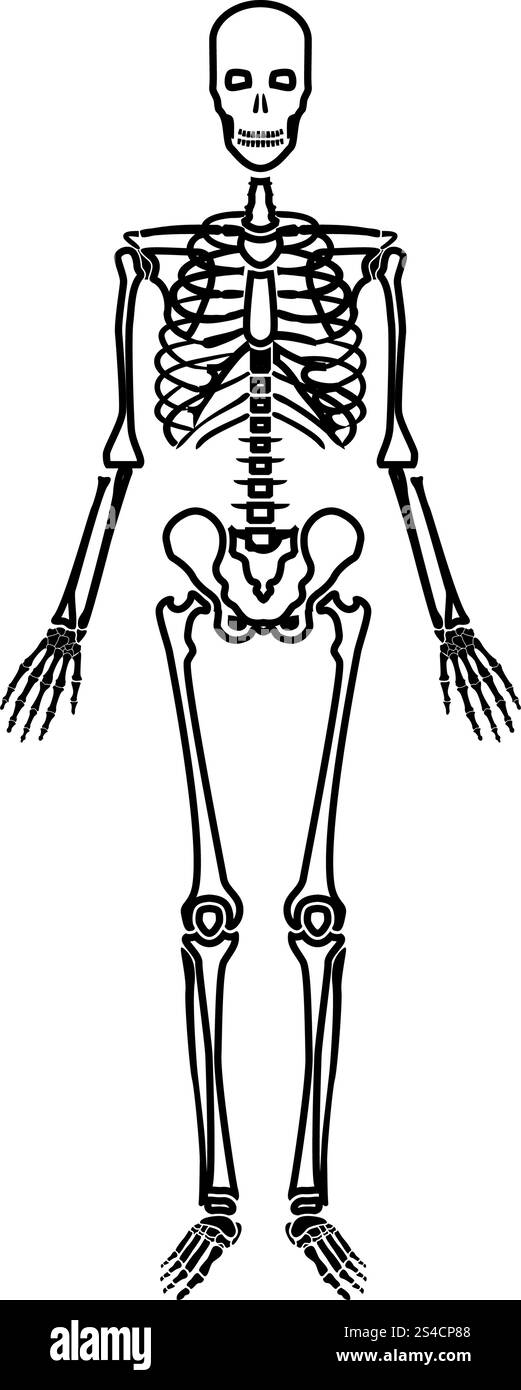 Human skeleton icon black color vector illustration flat style simple ...