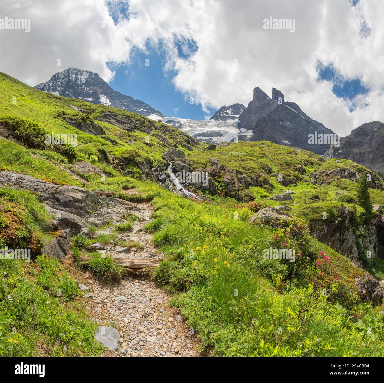 The little alps stream in Hineres Lauterbrunnental valley with the ...