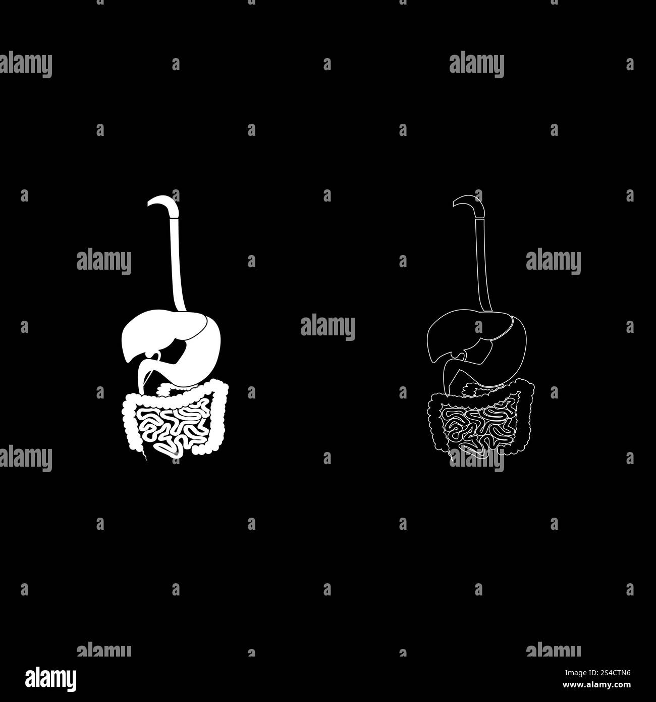 Digestive system icon set white color vector illustration flat style ...