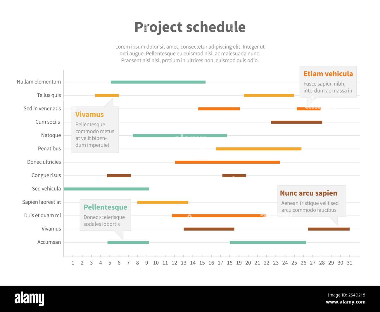 Project plan schedule chart with timeline, gantt progress vector graph ...