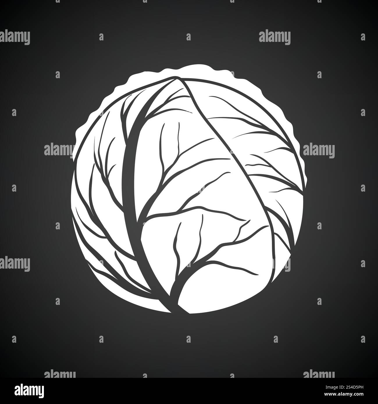 Cabbage icon. Black background with white. Vector illustration Stock ...