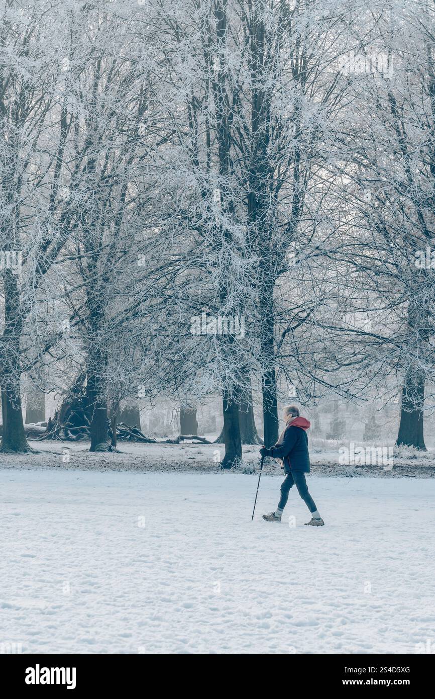 Walking through heavy UK snow in the winter using poles to keep steady ...
