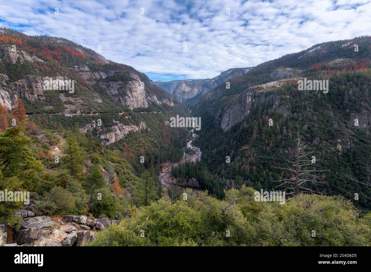 Stunning Autumn Colors in Yosemite Valley, Yosemite National Park, 2025 ...