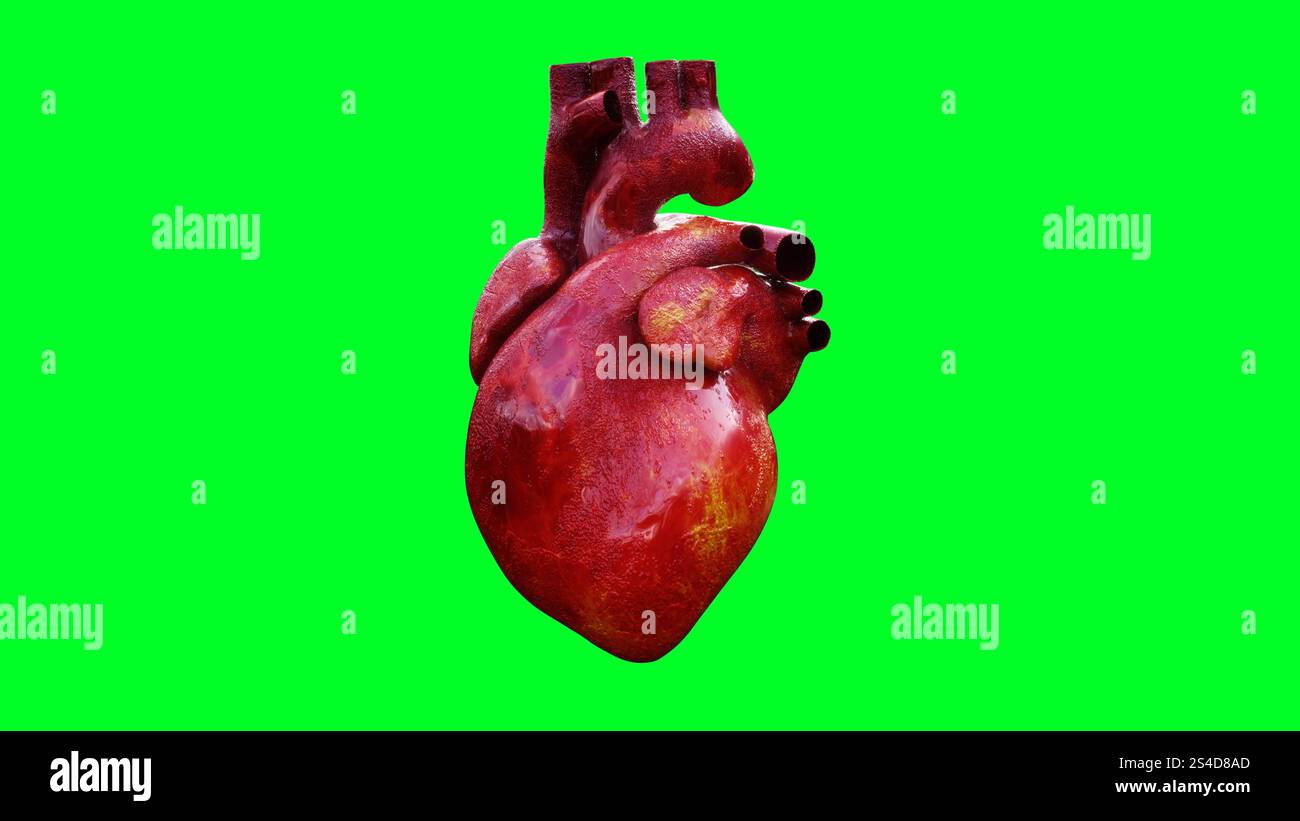 3d heart green screen hi-res stock photography and images - Alamy