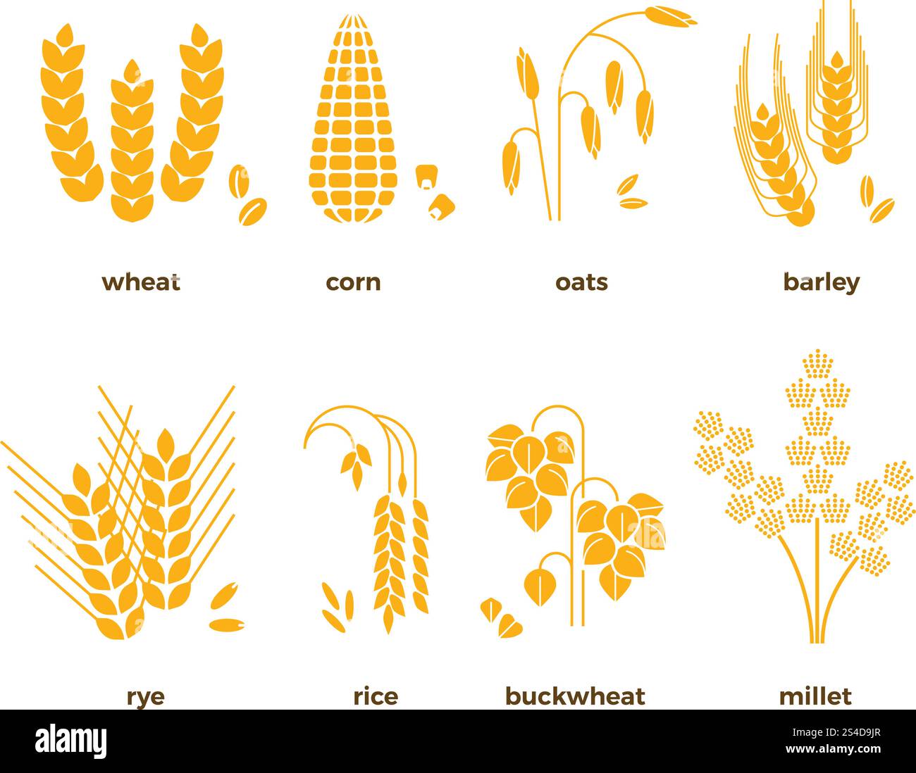 Cereal grains vector icons rice and wheat hi-res stock photography and ...