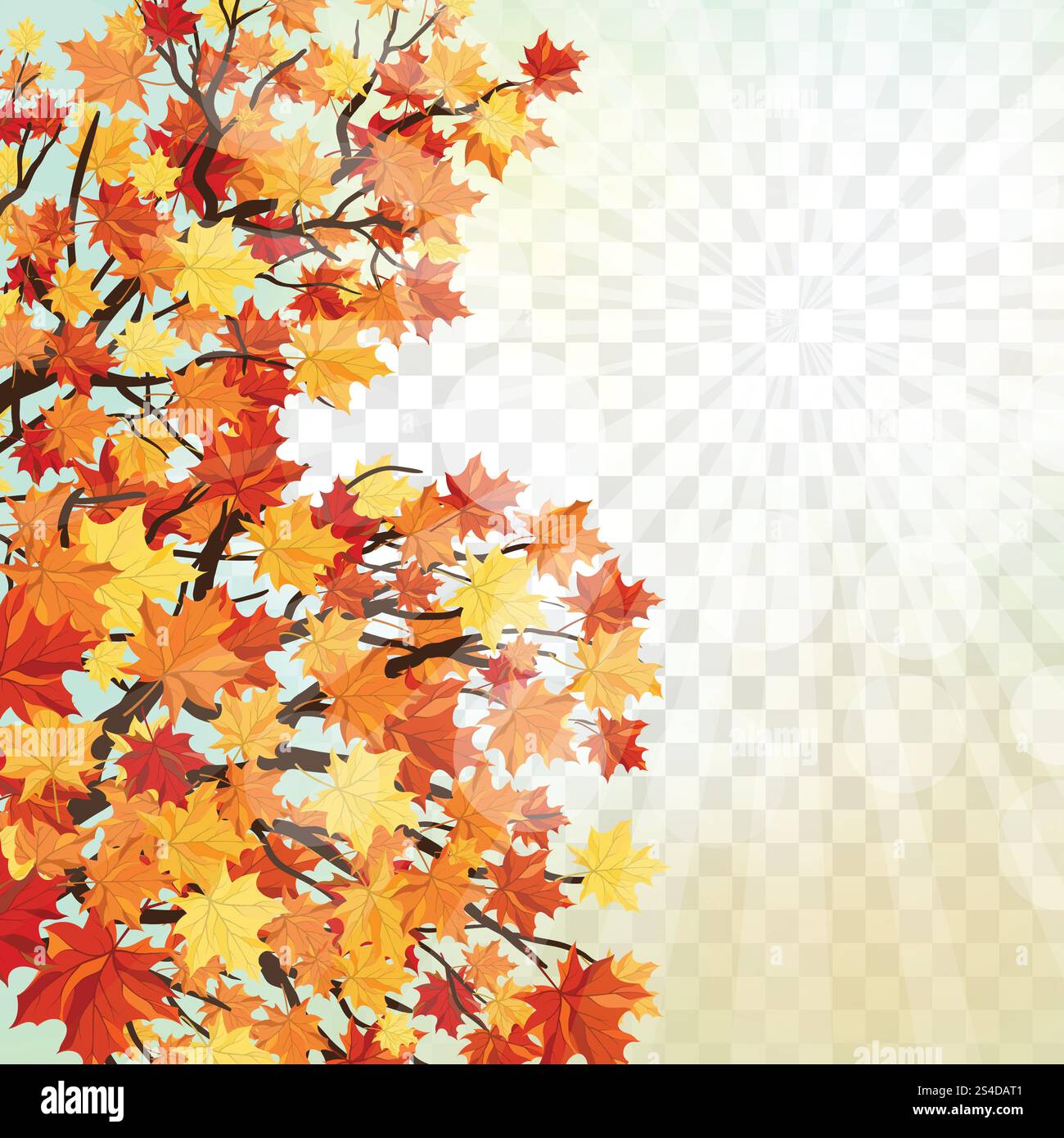 Autumn Frame With Falling Maple Leaves on transparency (alpha) grid ...