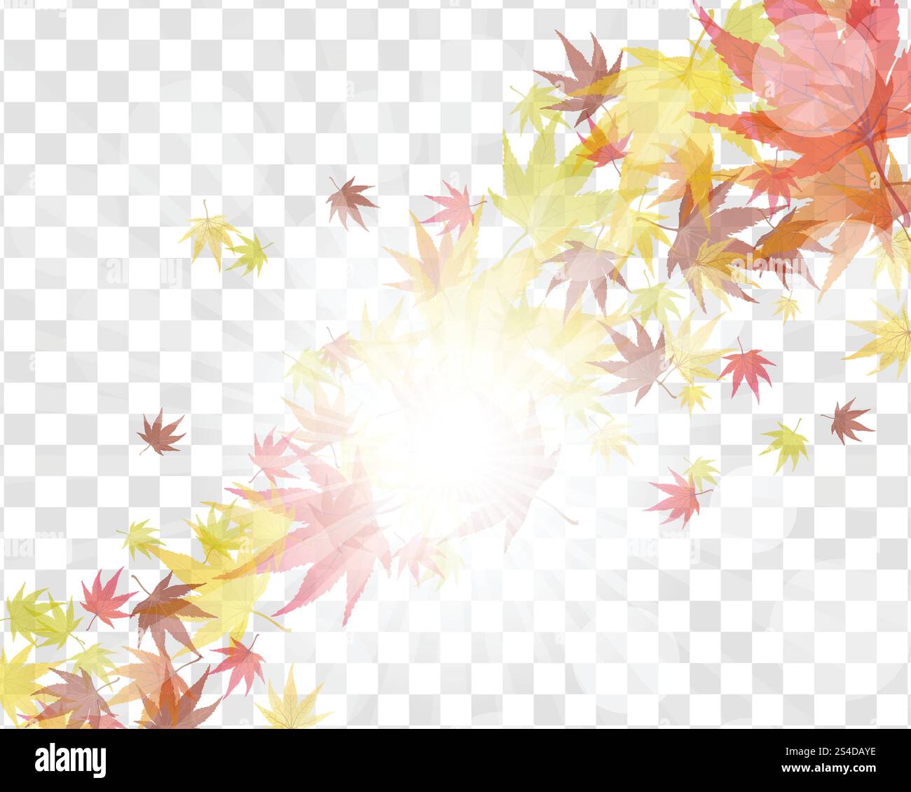 Autumn Frame With Falling Maple Leaves on transparency (alpha) grid ...