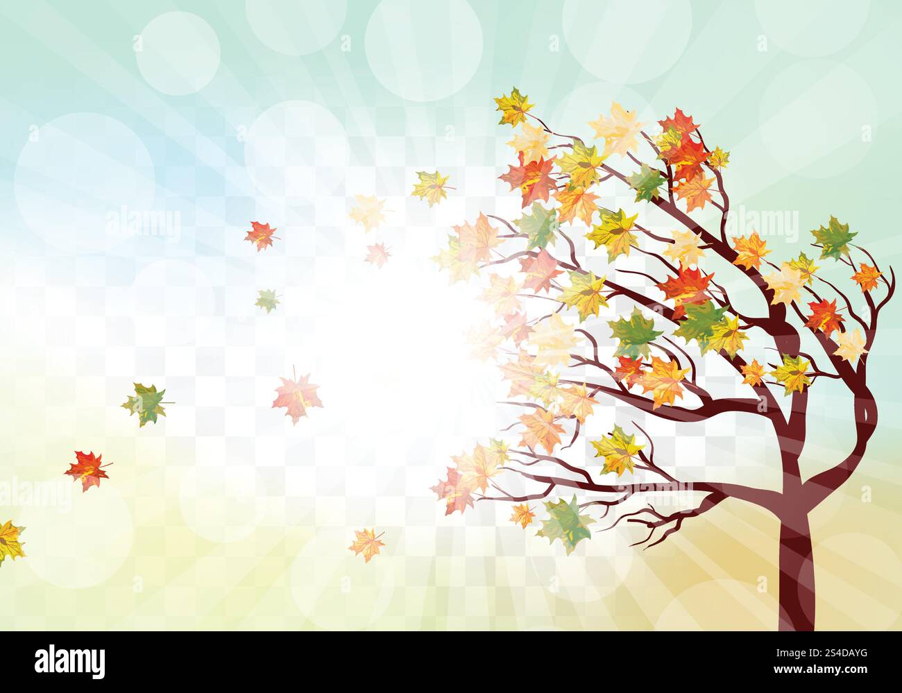 Autumn Frame With Falling Maple Leaves on transparency (alpha) grid ...