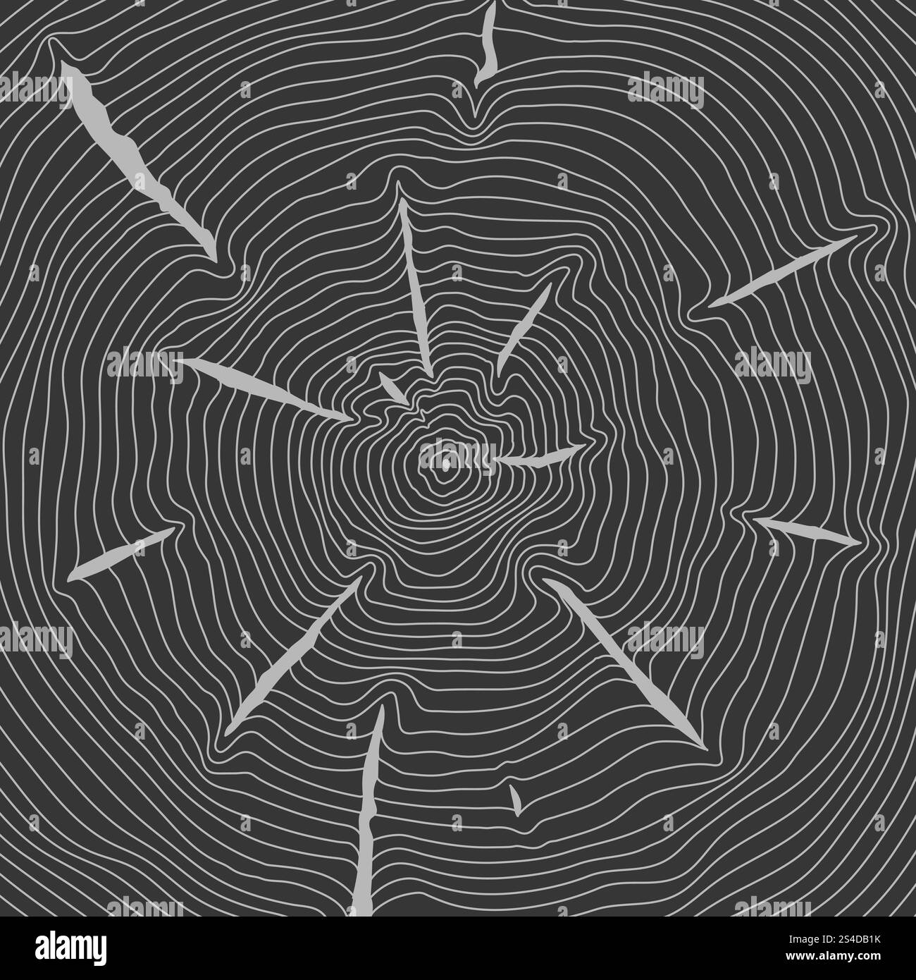 Annual Tree Growth Rings Trunk Cross Section Vector Background Trunk