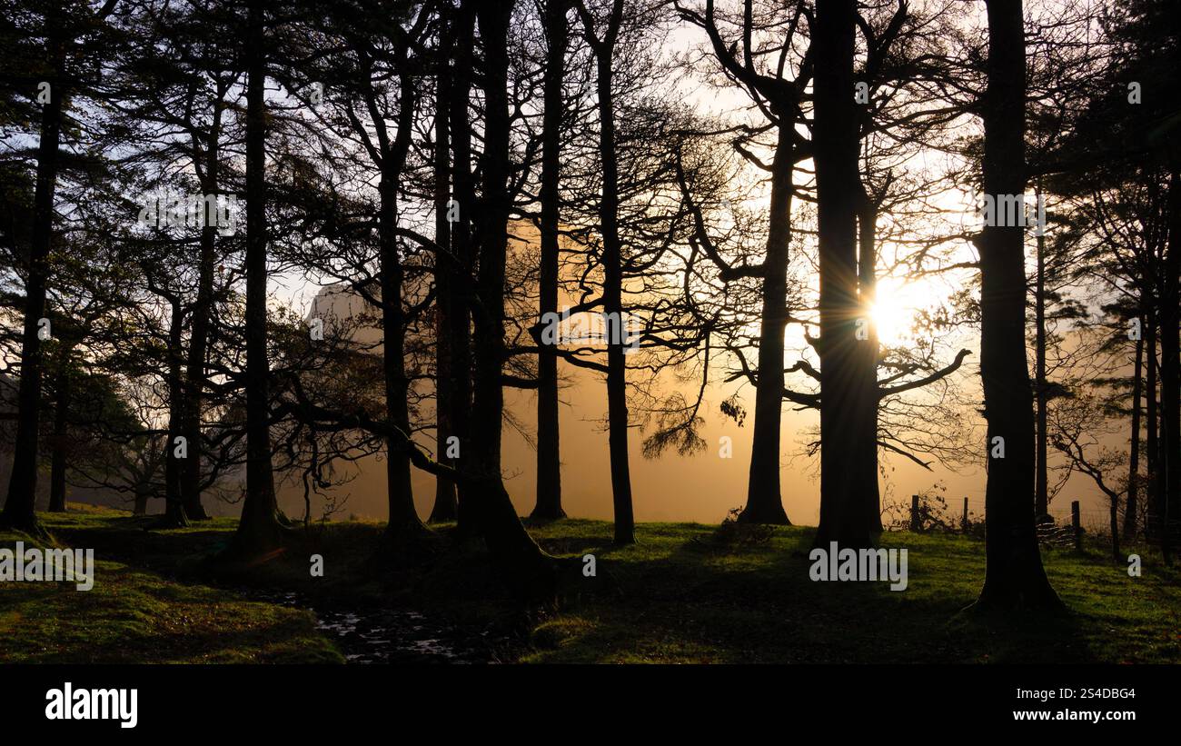 Stunning dramatic landscape of sunburst at dawn through trees around ...