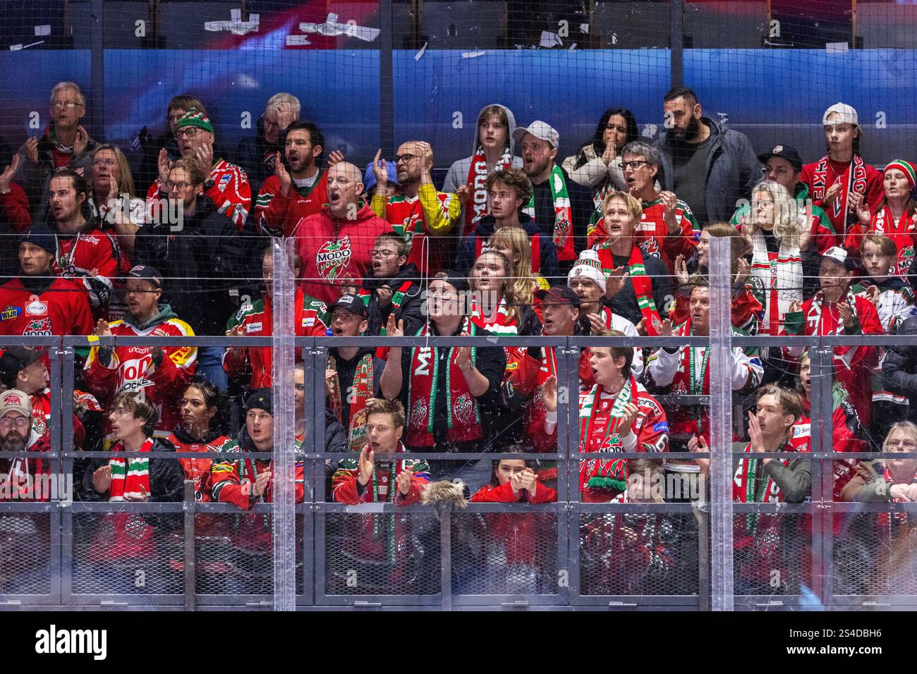 250111 Modos supportrar under ishockeymatchen i SHL mellan Linköping och Modo den 11 januari ...