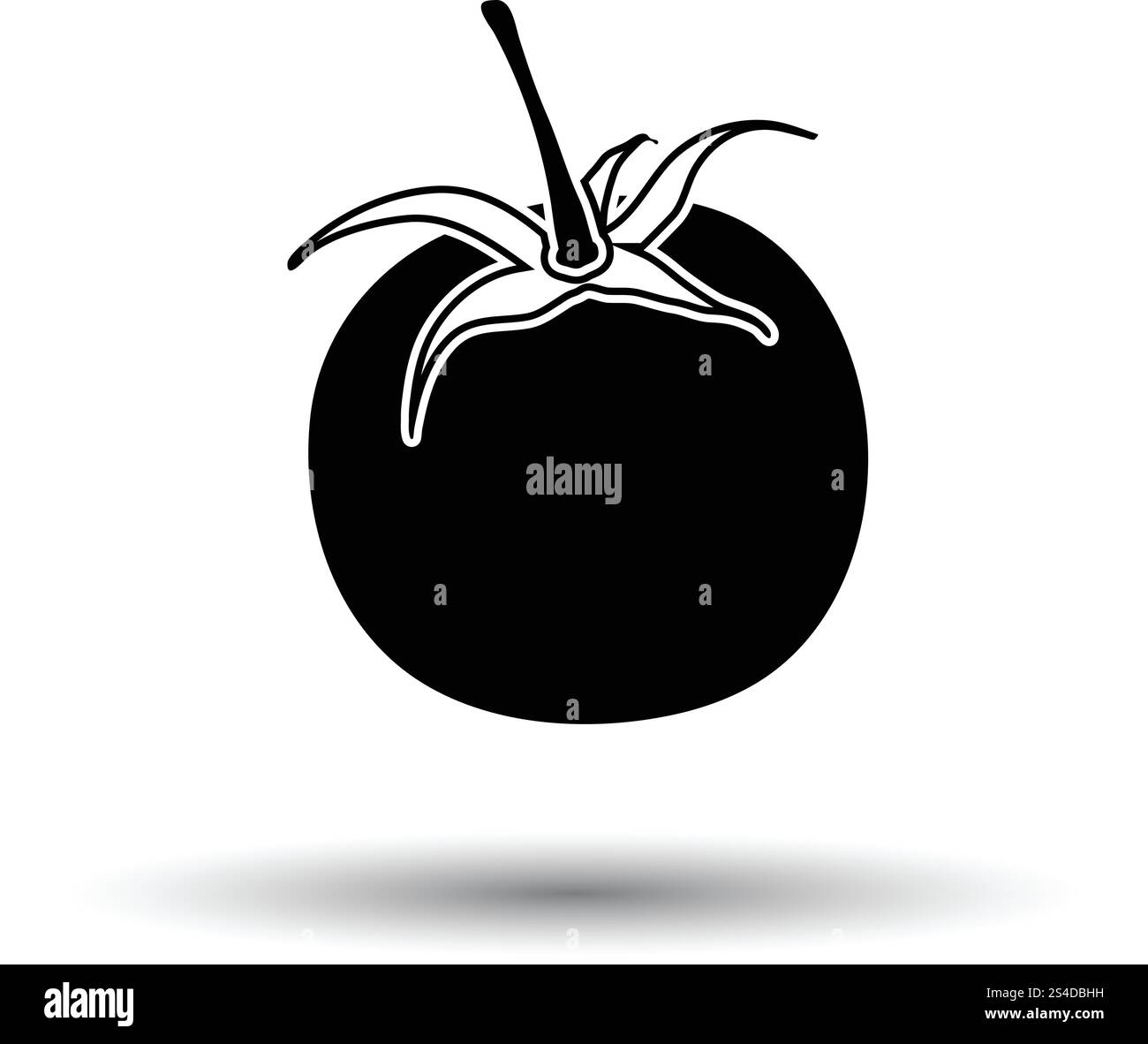 Tomatoes icon. White background with shadow design. Vector illustration ...