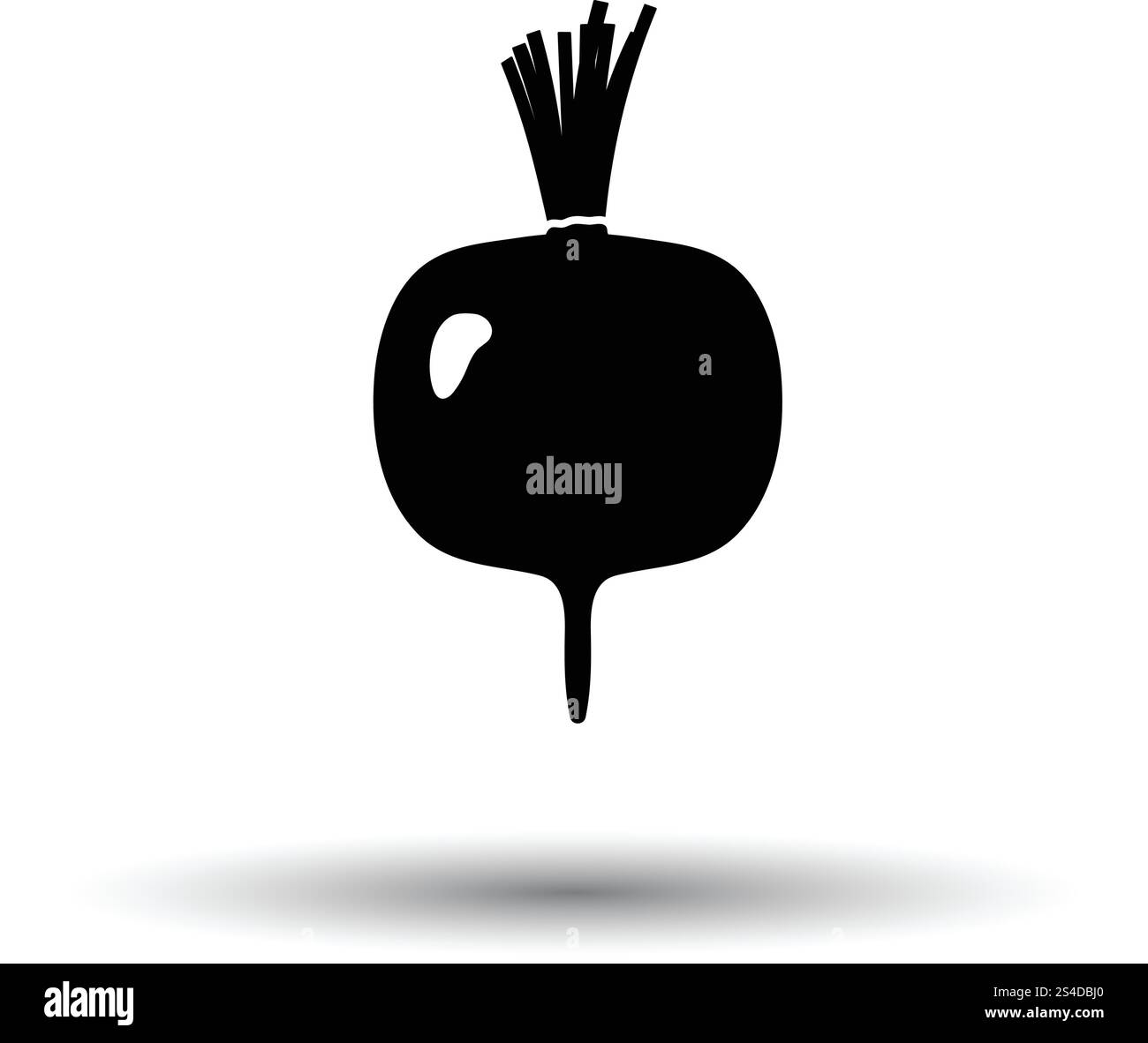 Radishes icon. White background with shadow design. Vector illustration ...