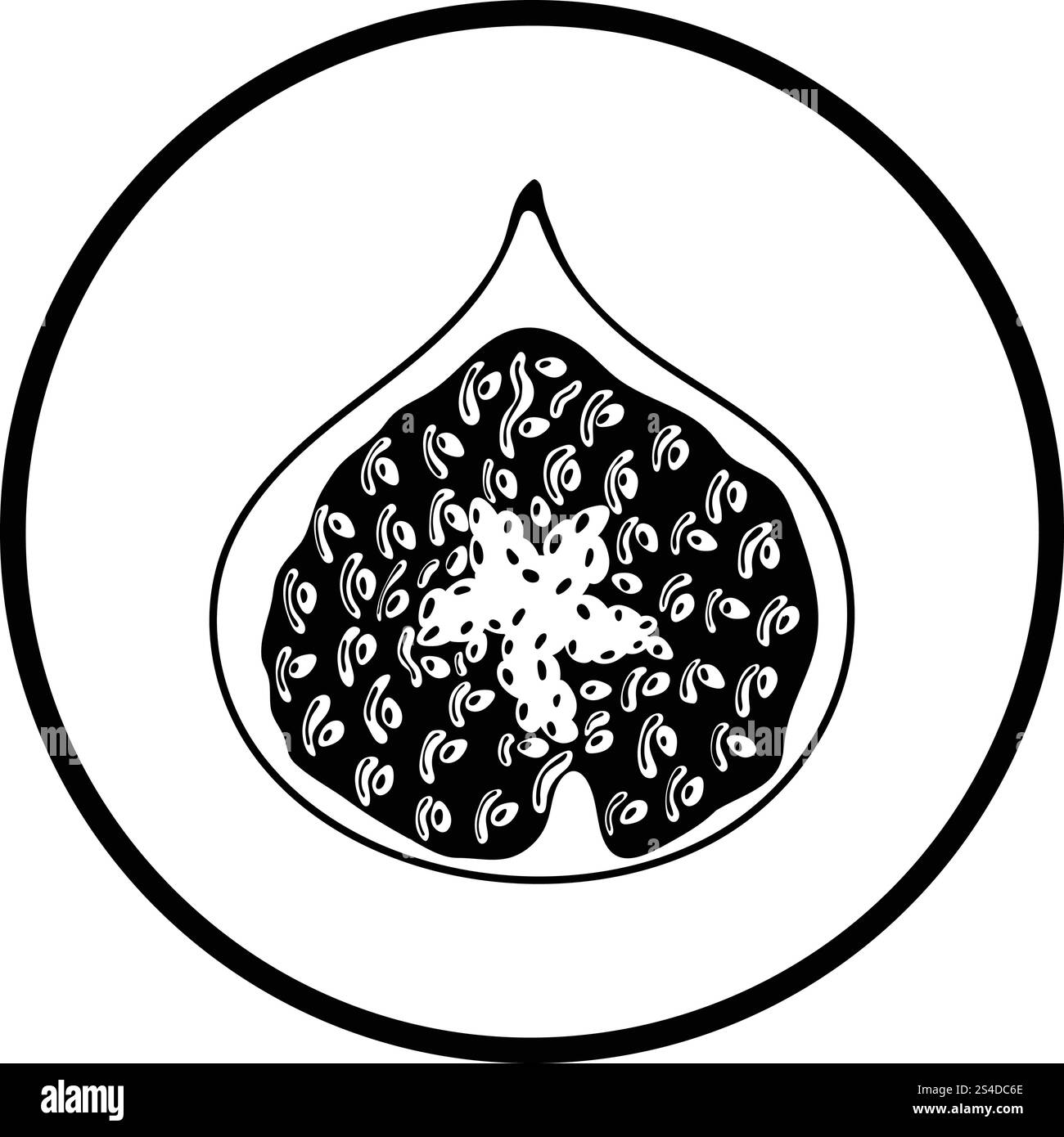 Illustration of fig Black and White Stock Photos & Images - Alamy