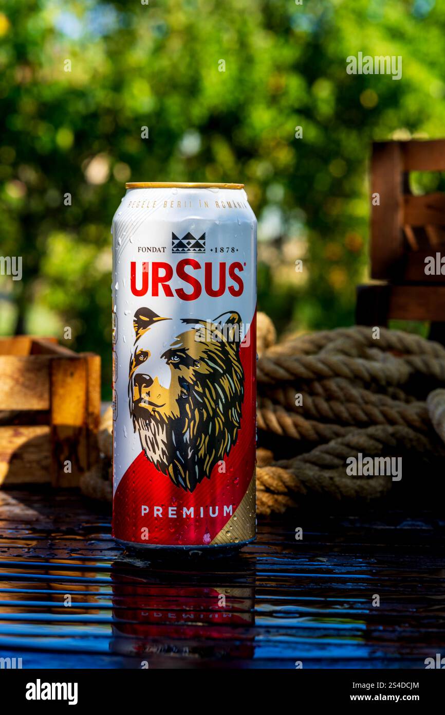 Ursus beer can - condensation water droplets, outdoors background Stock ...