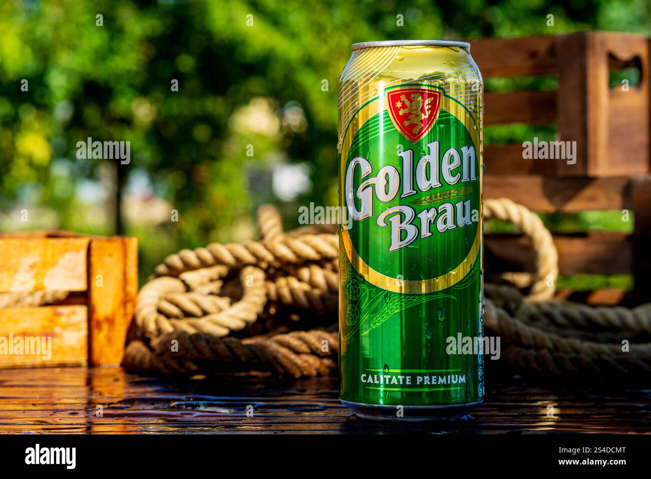 Golden Brau beer can - condensation water droplets, outdoors background ...