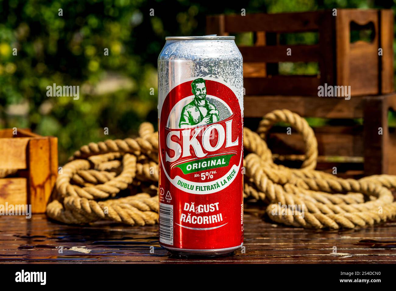 SKOL beer can - condensation water droplets, outdoors background Stock ...