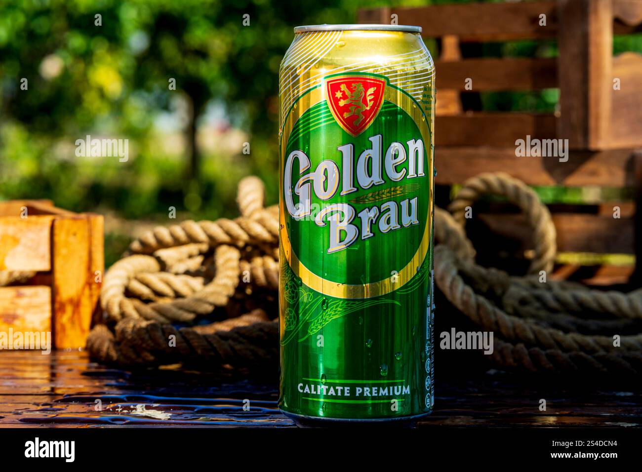 Golden Brau beer can - condensation water droplets, outdoors background ...