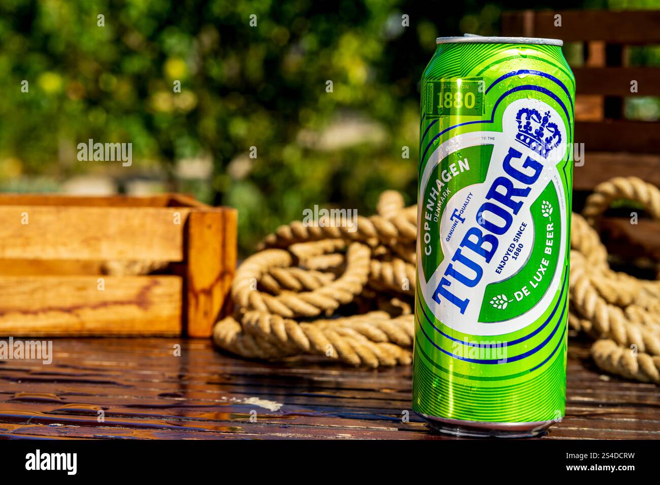 Tuborg beer can - condensation water droplets, outdoors background ...