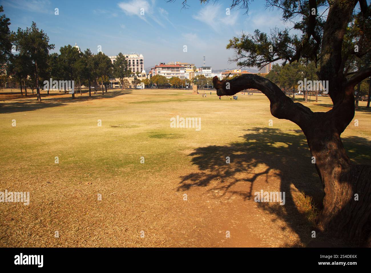 The Union Buildnigs Gardens plain field in Pretoria, Gauteng, South ...