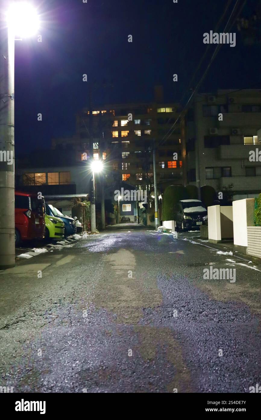 January 11, 2025. Sendai, Miyagi Prefecture, Japan.A residential area ...