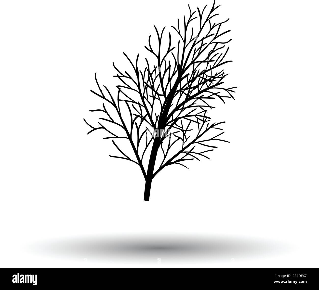 Dill icon. White background with shadow design. Vector illustration ...