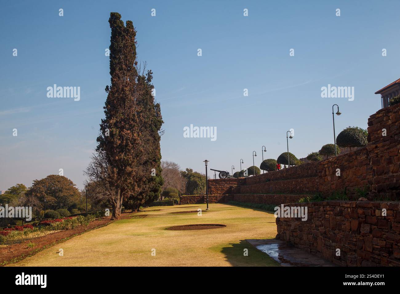 A Cypress tree and the terraced Union Buildings Gardens, Pretoria ...
