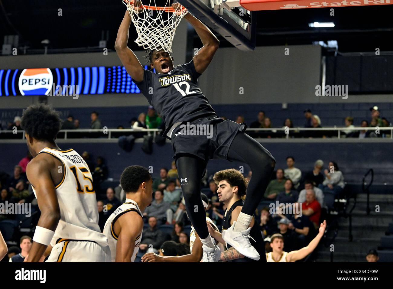 January 11, 2025, Philadelphia, Pennsylvania, U.S: Towson Tigers ...