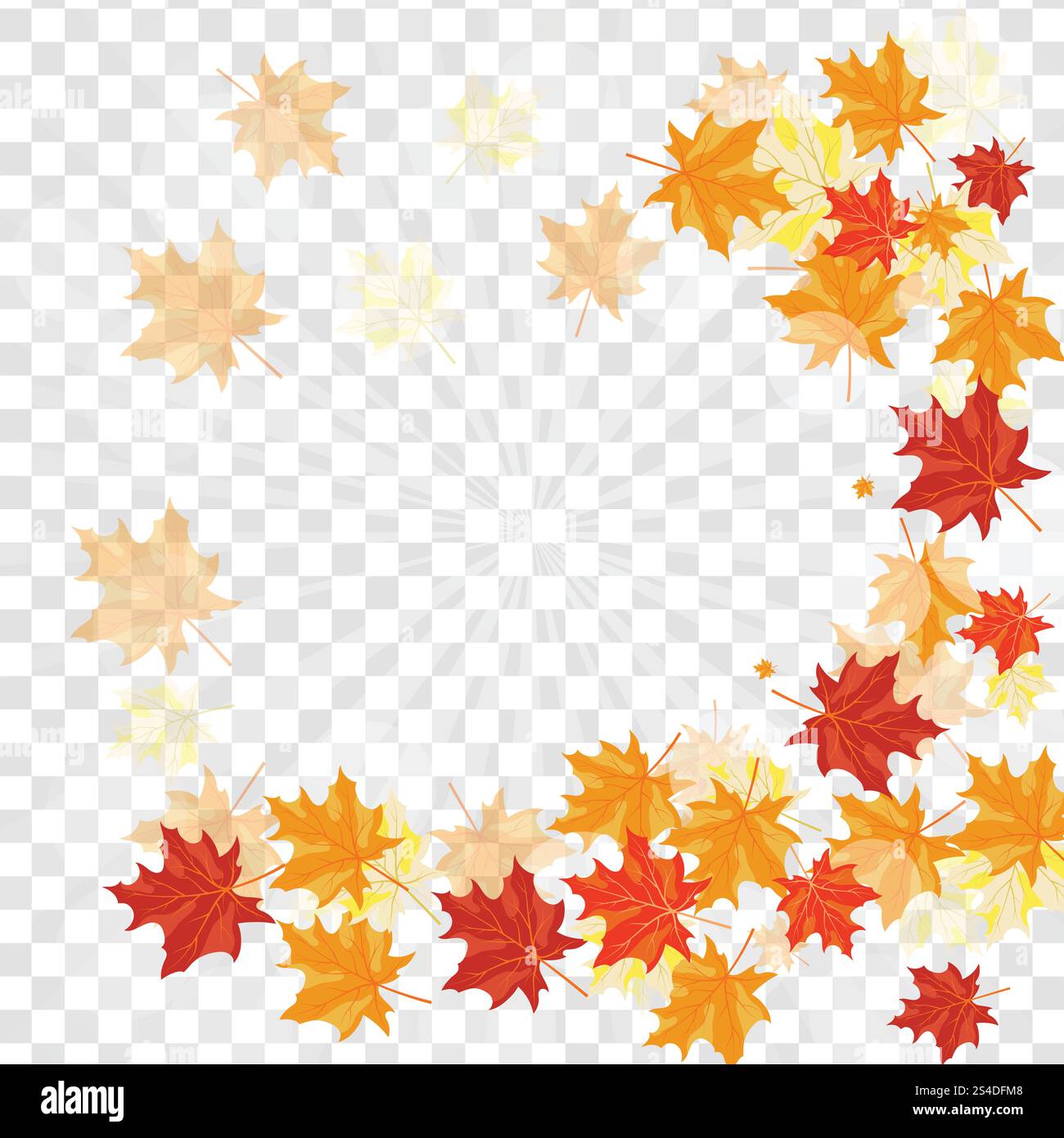 Autumn Frame With Falling Maple Leaves on transparency (alpha) grid ...