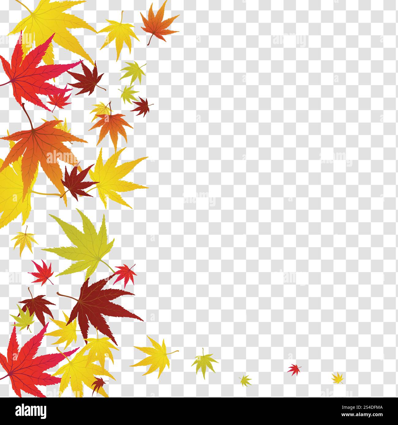 Autumn Frame With Falling Maple Leaves on transparency (alpha) grid ...