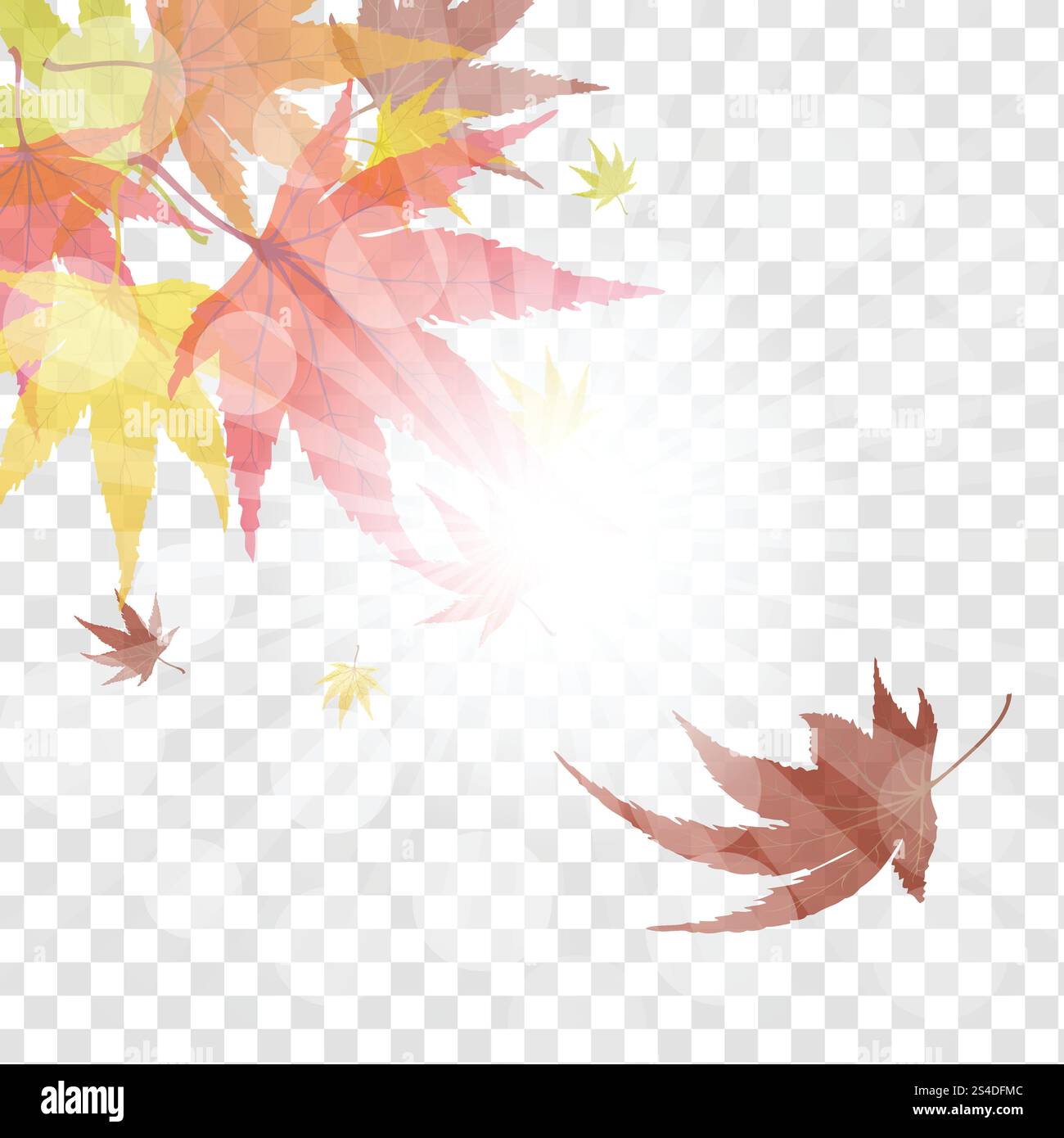 Autumn Frame With Falling Maple Leaves on transparency (alpha) grid ...
