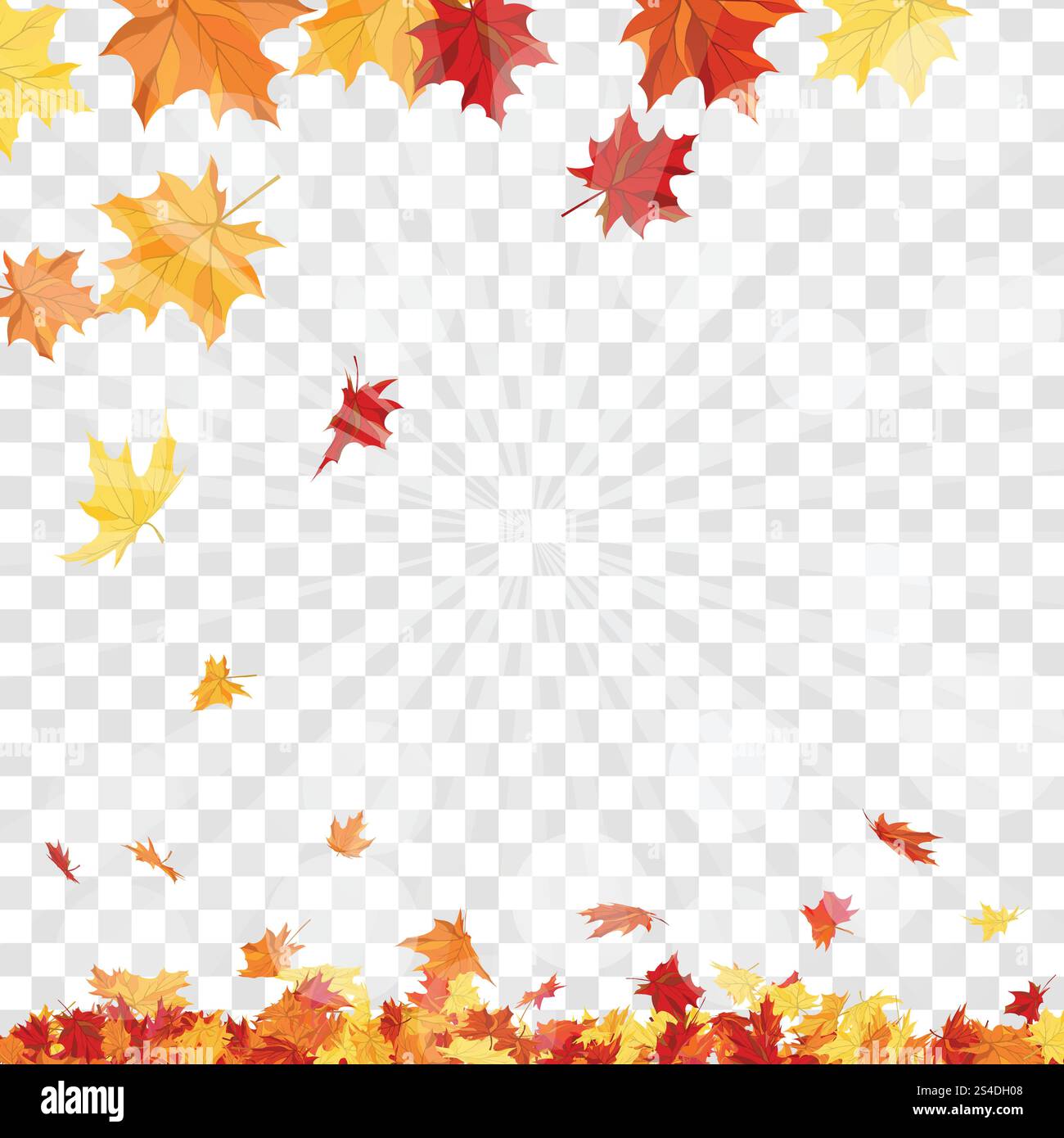 Autumn Frame With Falling Maple Leaves on transparency (alpha) grid ...