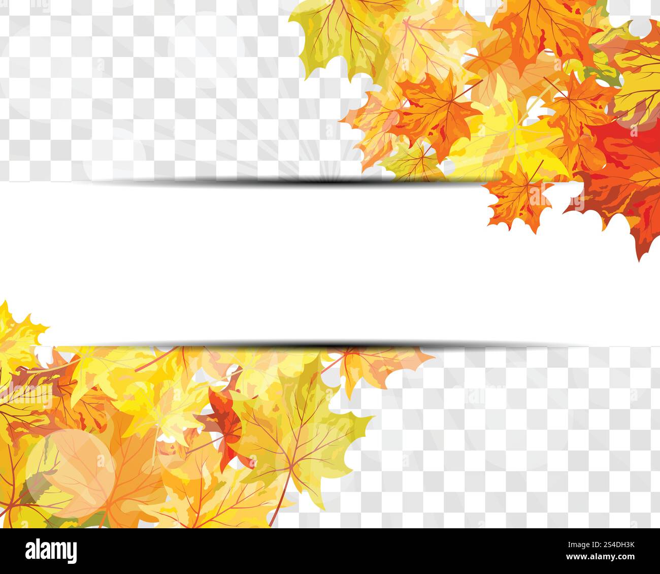 Autumn Frame With Falling Maple Leaves on transparency (alpha) grid ...