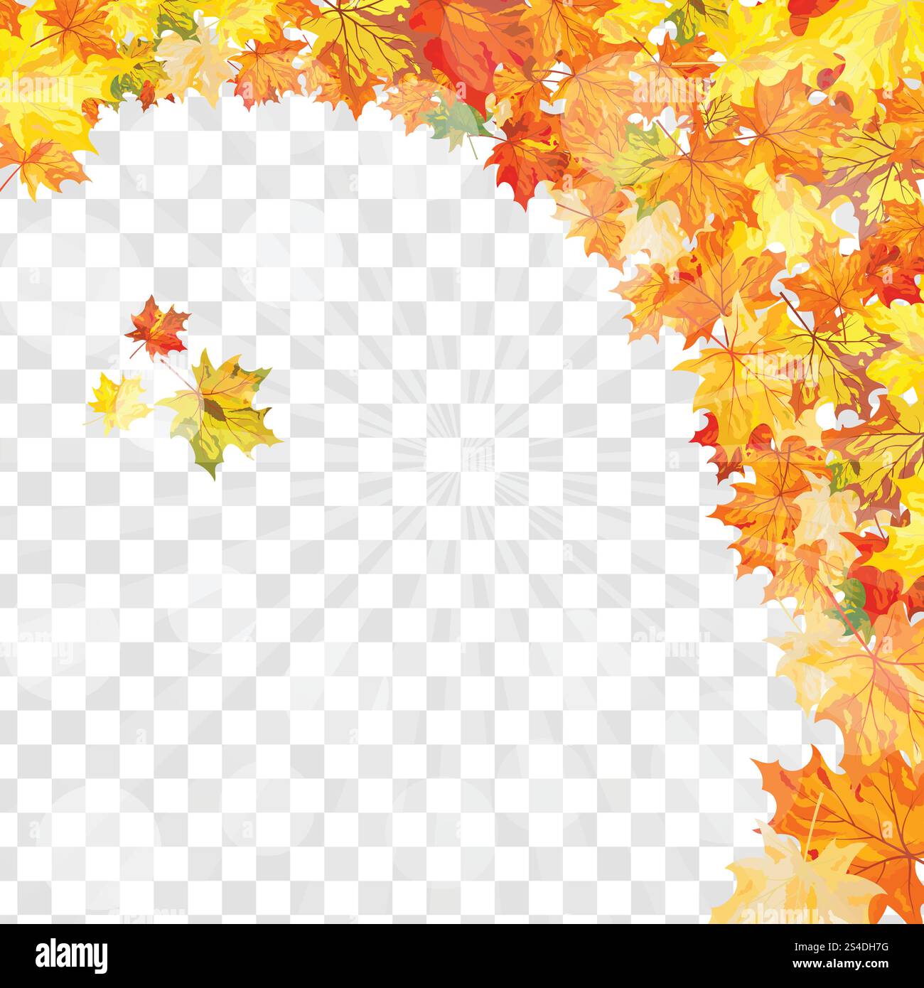 Autumn Frame With Falling Maple Leaves on transparency (alpha) grid ...