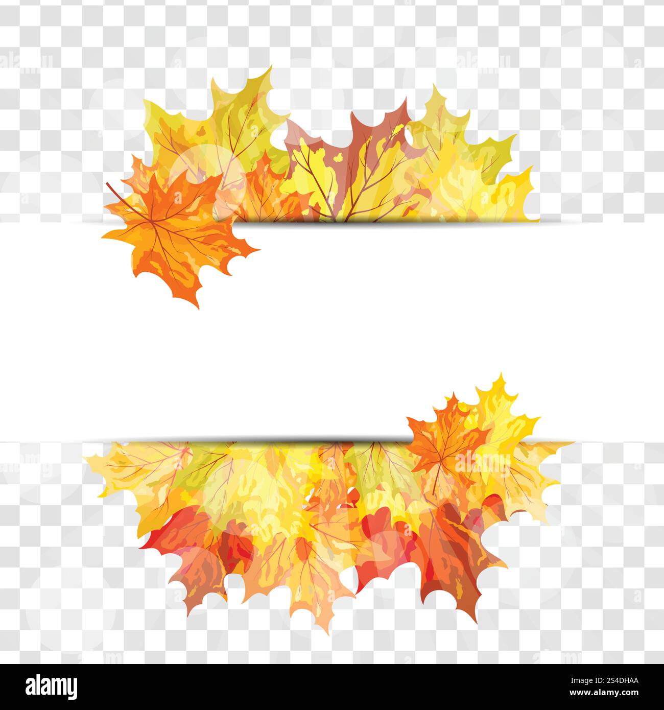 Autumn Frame With Falling Maple Leaves on transparency (alpha) grid ...