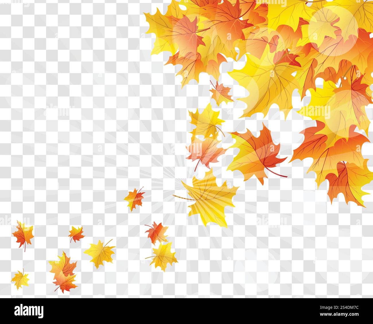 Autumn Frame With Falling Maple Leaves on transparency (alpha) grid ...