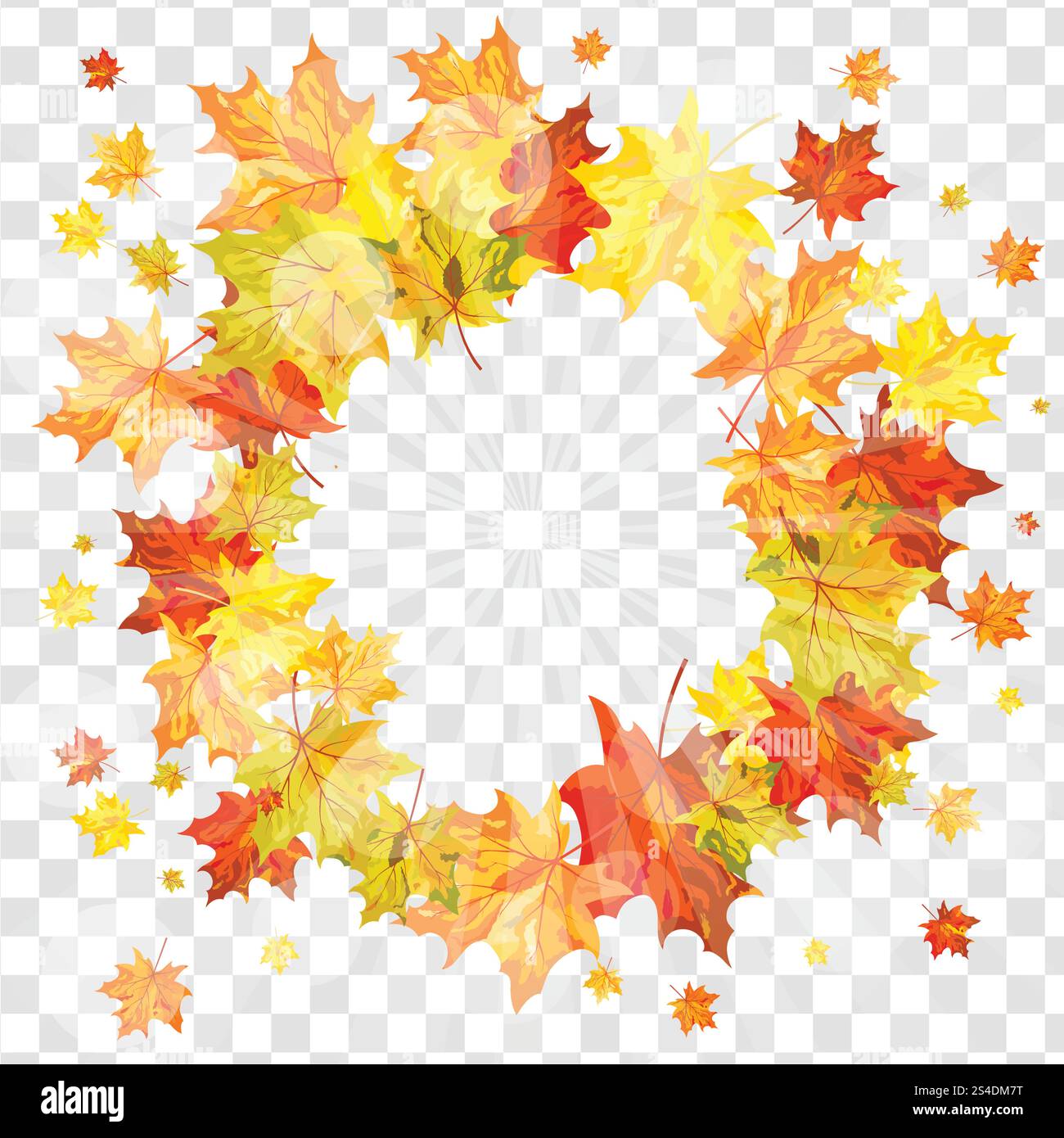 Autumn Frame With Falling Maple Leaves on transparency (alpha) grid ...