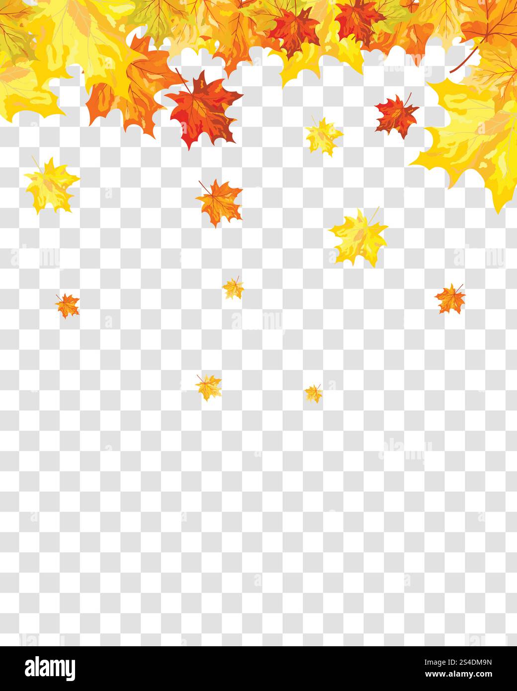 Autumn Frame With Falling Maple Leaves on transparency (alpha) grid ...