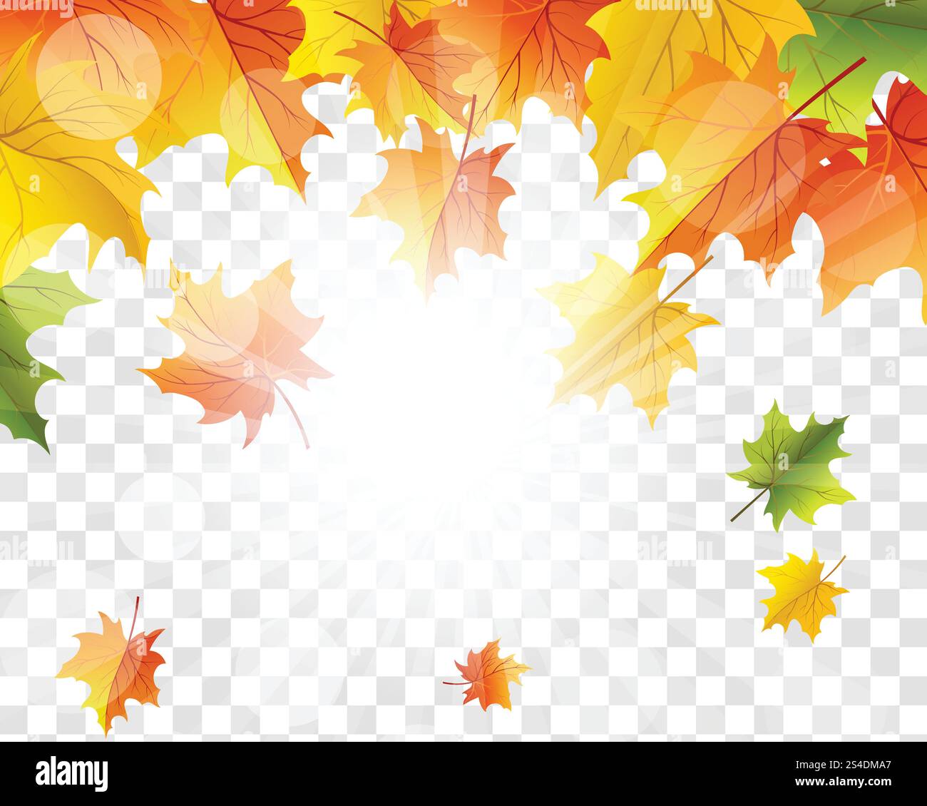 Autumn Frame With Falling Maple Leaves on transparency (alpha) grid ...