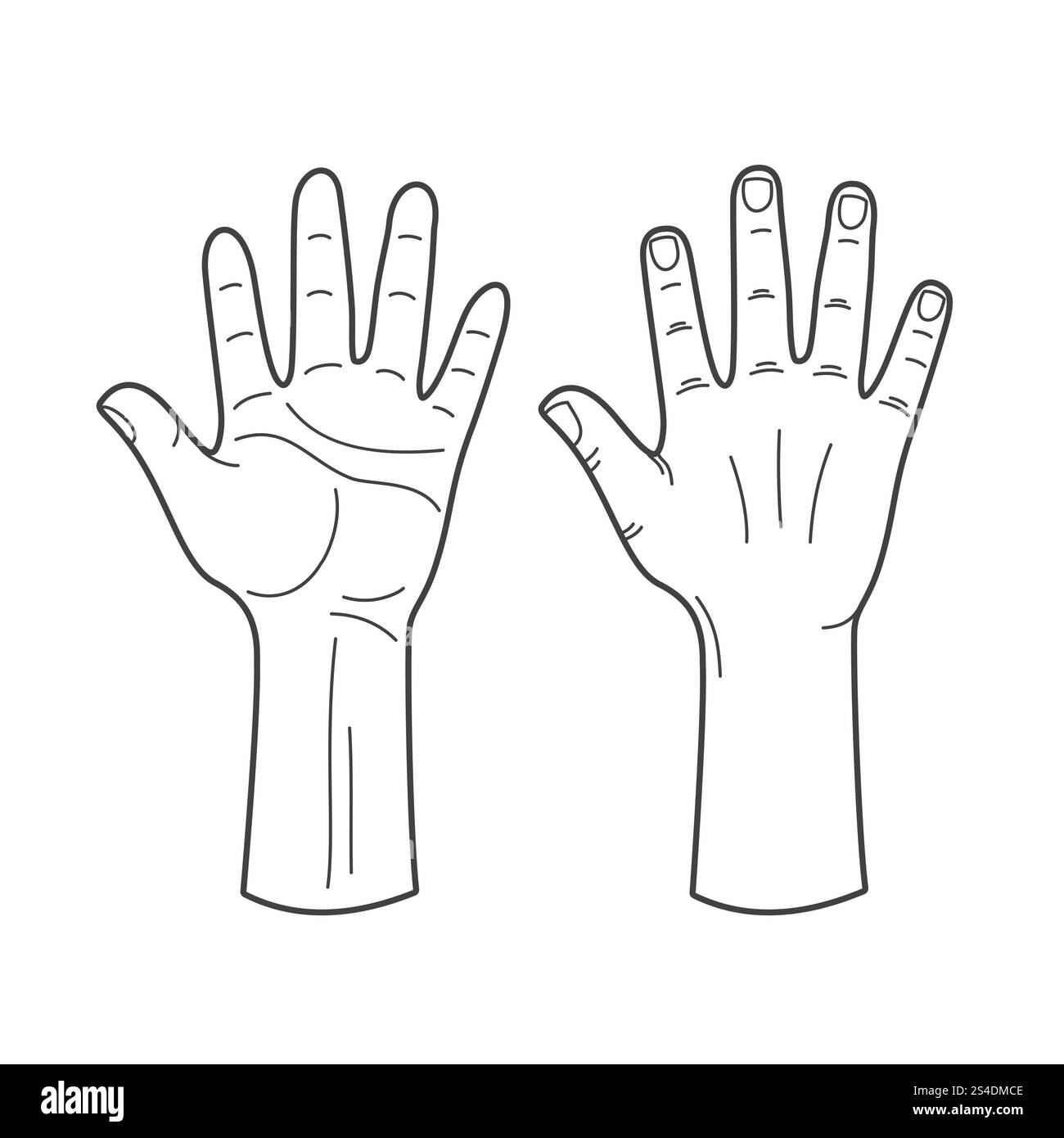Vector hands illustration in black and white. Human hand outline ...