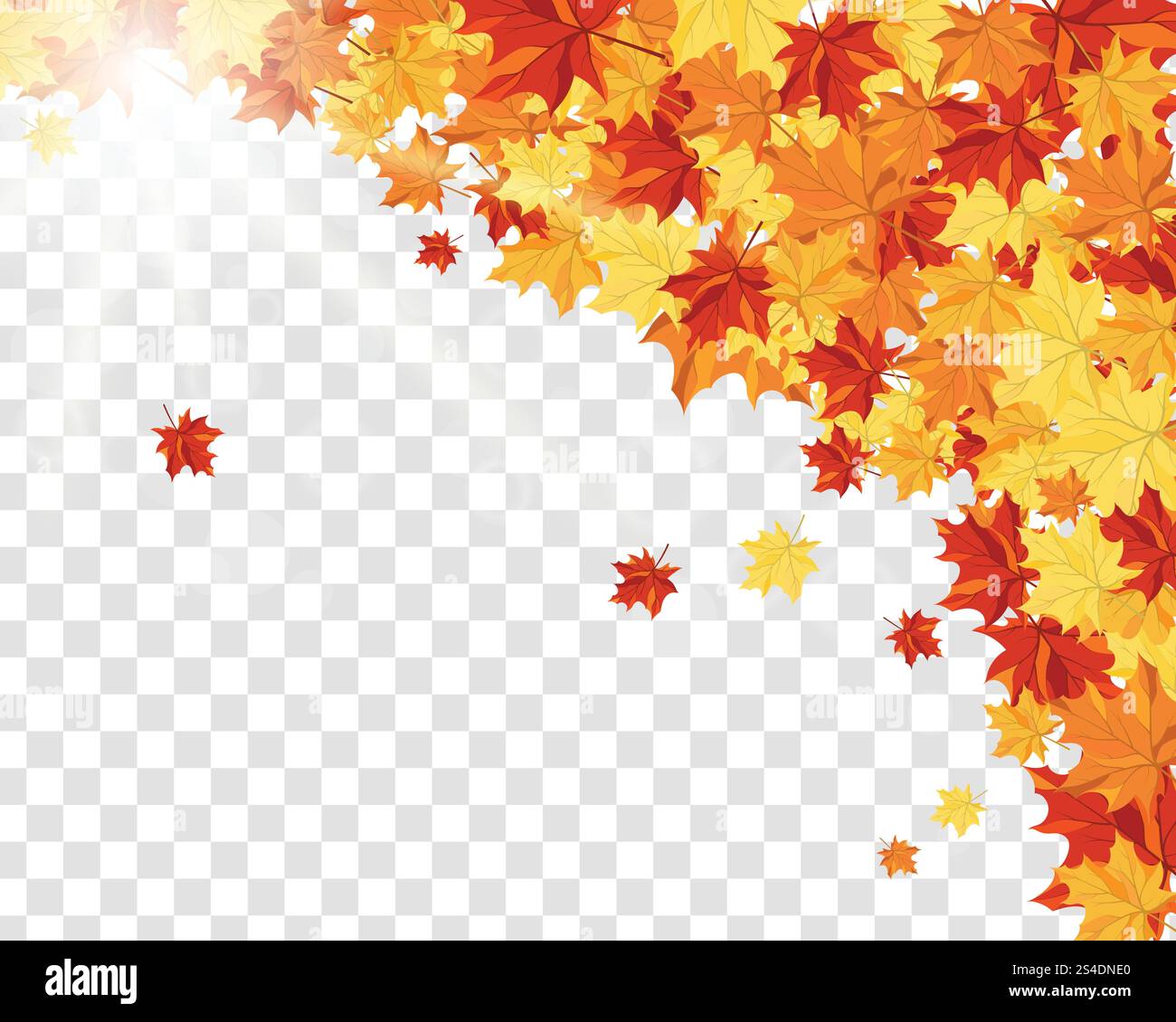Autumn Frame With Falling Maple Leaves on transparency (alpha) grid ...