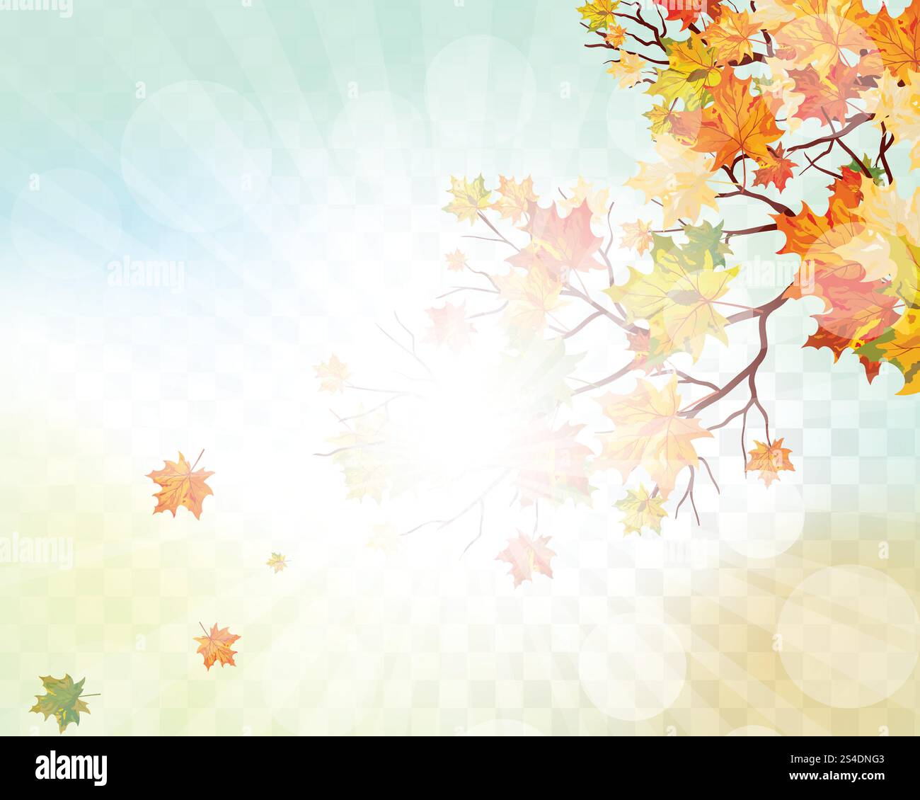 Autumn Frame With Falling Maple Leaves on transparency (alpha) grid ...