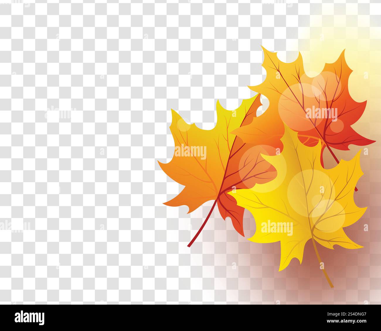 Autumn Frame With Falling Maple Leaves on transparency (alpha) grid ...