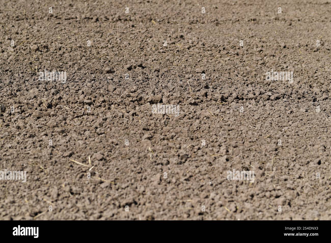 Soil texture background for gardening. Soil as background. Organic ...