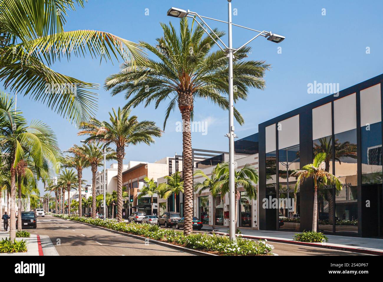 The iconic , exclusive, expensive Rodeo Drive lined with palm trees in ...