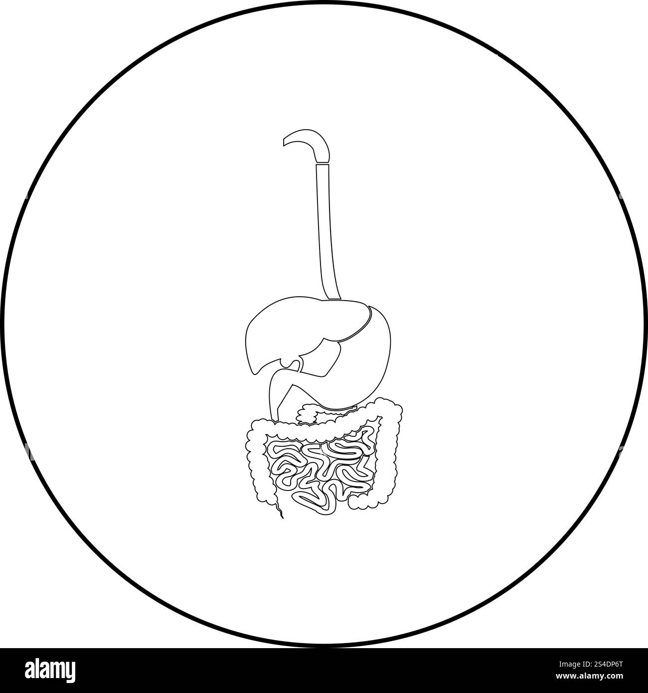 Digestive system icon black color in round circle outline vector ...
