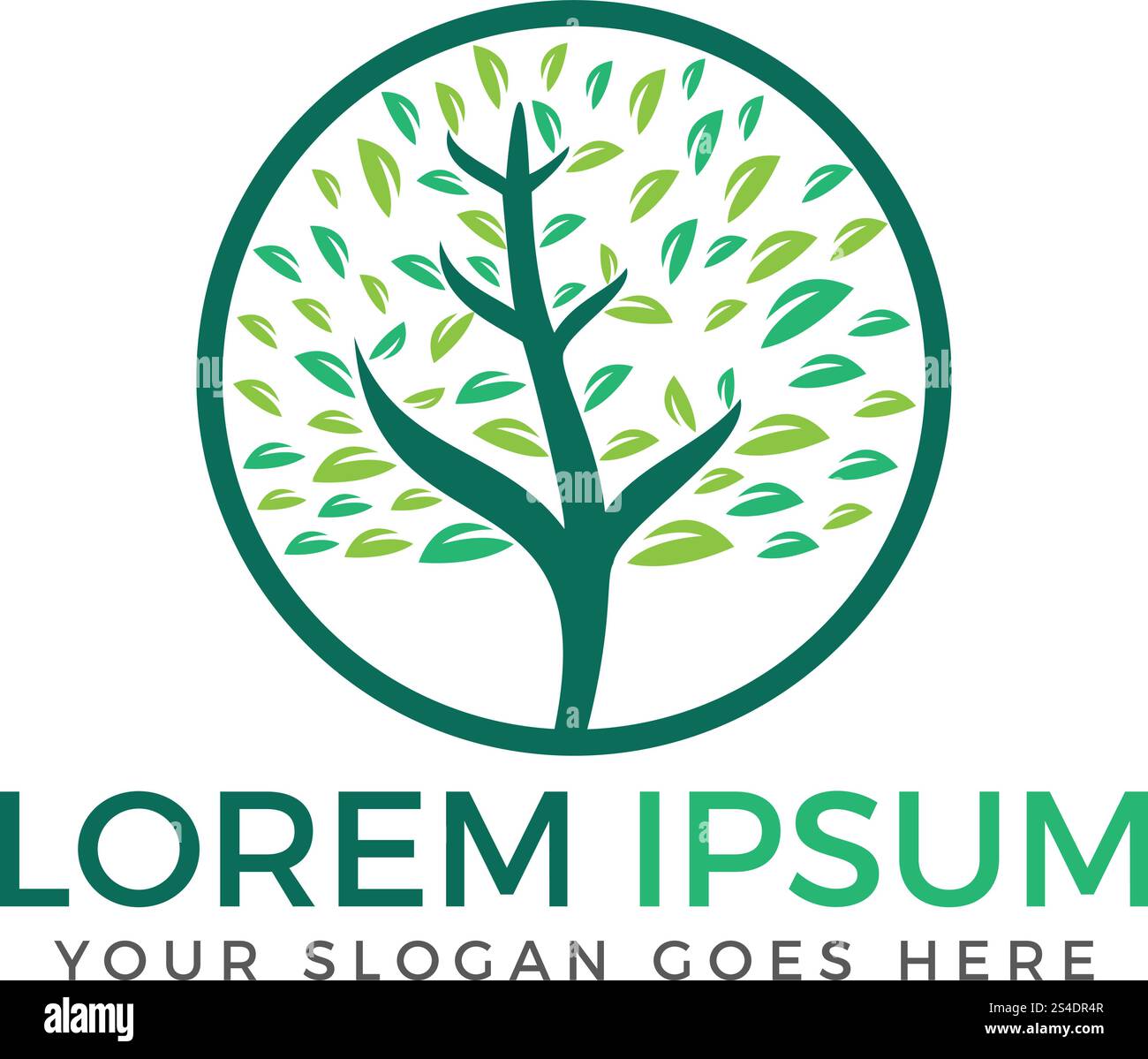 00252 Stock Vector Images - Alamy