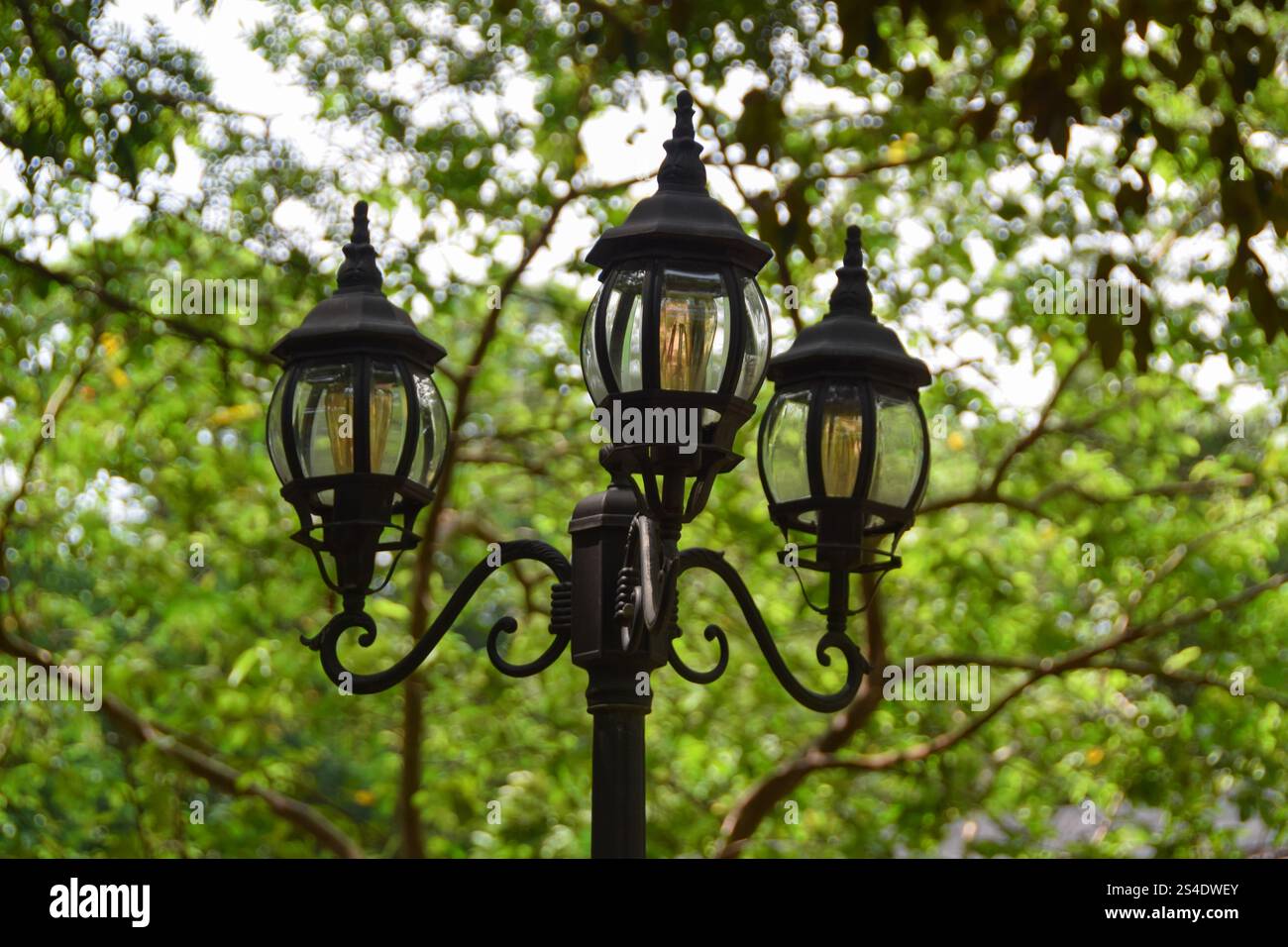 Old vintage street lamp. Old vintage streetlight. Lamp park. Modern ...